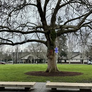 WILSONVILLE PUBLIC LIBRARY - Updated June 2025 - 51 Photos & 21 Reviews ...