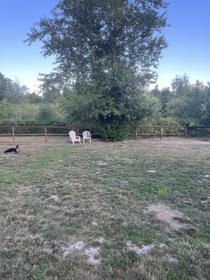 HAZELIA FIELD DOG PARK - Updated December 2025 - 86 Photos & 64 Reviews ...