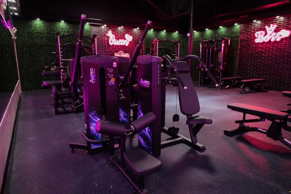 AMPED FITNESS - BRADENTON - Updated July 2025 - 13 Photos & 17 Reviews ...