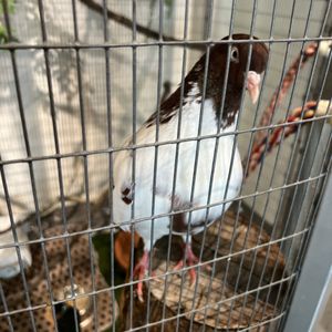 TERRY CONNERS ICE RINK - Updated December 2025 - 1125 Cove Rd, Stamford ...