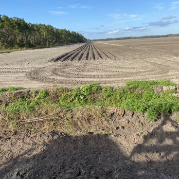 WESLEY WELLS FARM - Updated December 2025 - 108 Photos & 12 Reviews ...