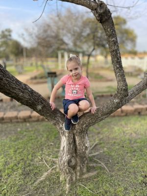 MATZKE PARK - Updated December 2025 - 23 Photos & 21 Reviews - 13110 ...