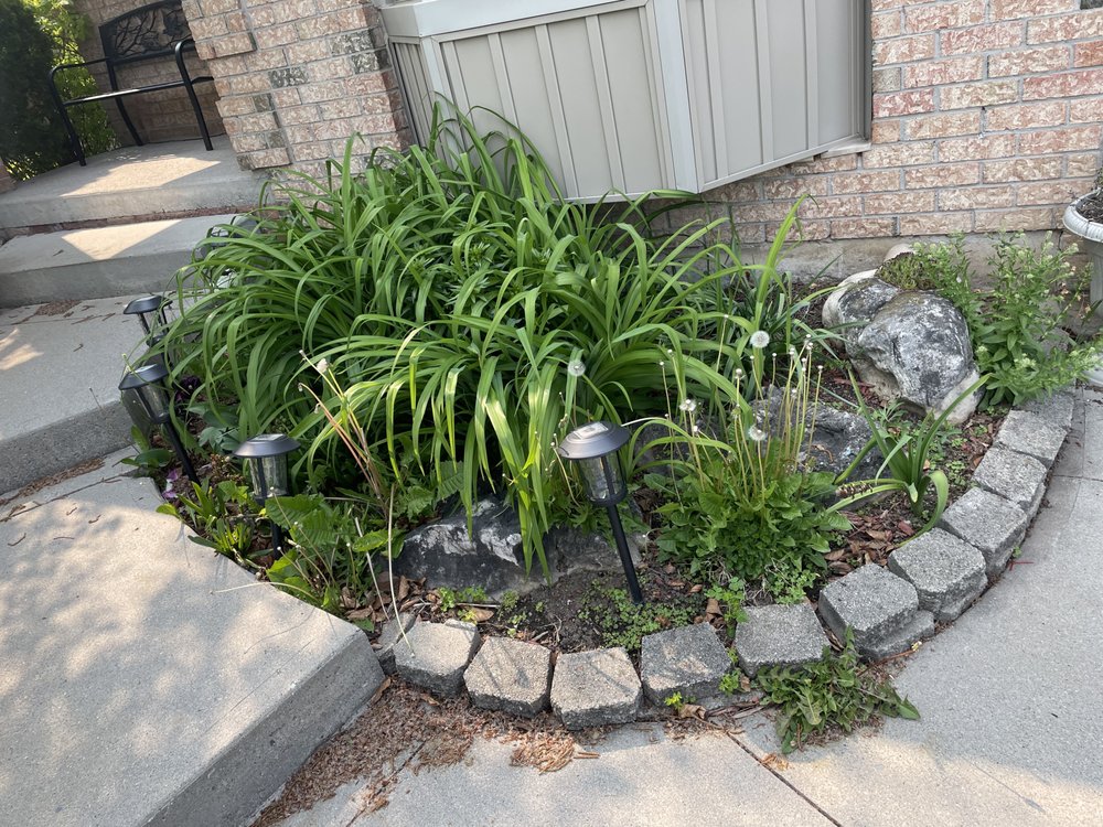 FOREVER GROWTH - Updated December 2025 - 36 Photos - Burlington ...