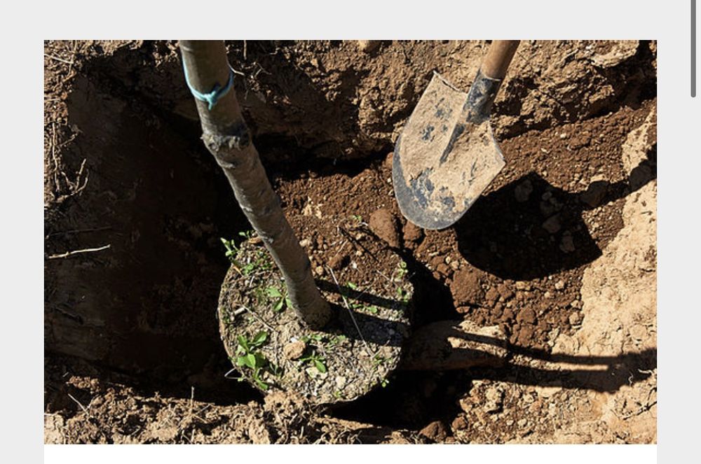 OLVERA LAWN SERVICES - Updated March 2025 - 12 Photos - Fort Worth, Texas - Lawn Services ...