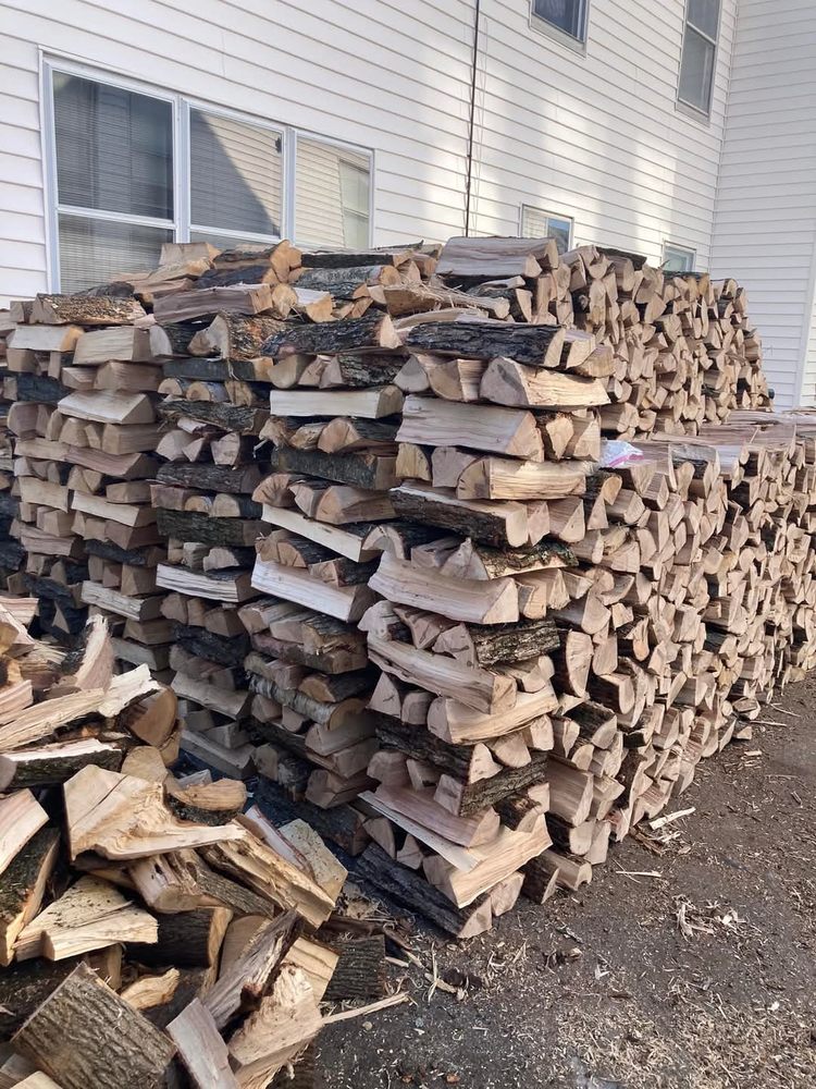 TOMMY TREE & EXCAVATION - Updated December 2025 - Request a Quote ...