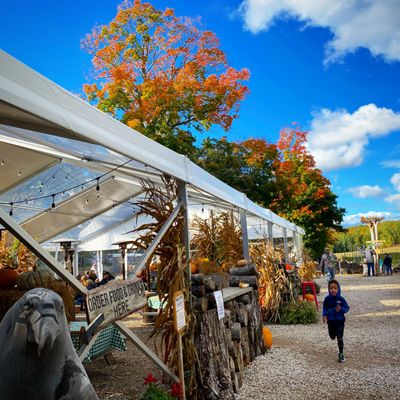 POND HILL FARM - Updated October 2024 - 428 Photos & 138 Reviews - 5699 ...