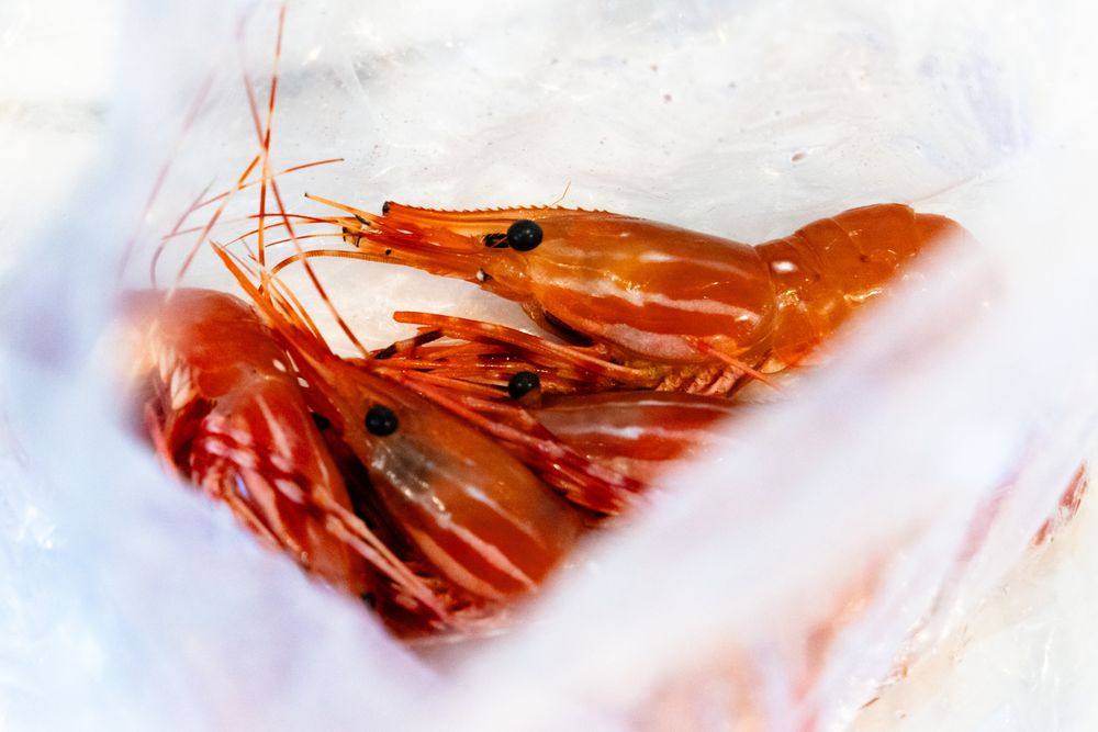 99 RANCH MARKET - Updated October 2025 - 350 Photos & 330 Reviews ...