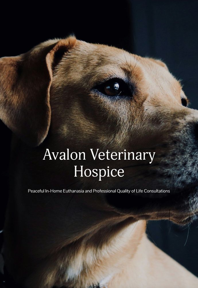 AVALON VETERINARY HOSPICE - Updated July 2025 - Request Information ...