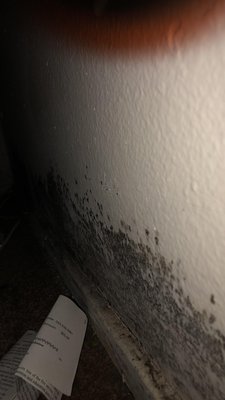 KUSTOM US - Updated November 2025 - 46 Photos & 20 Reviews - 5007 ...