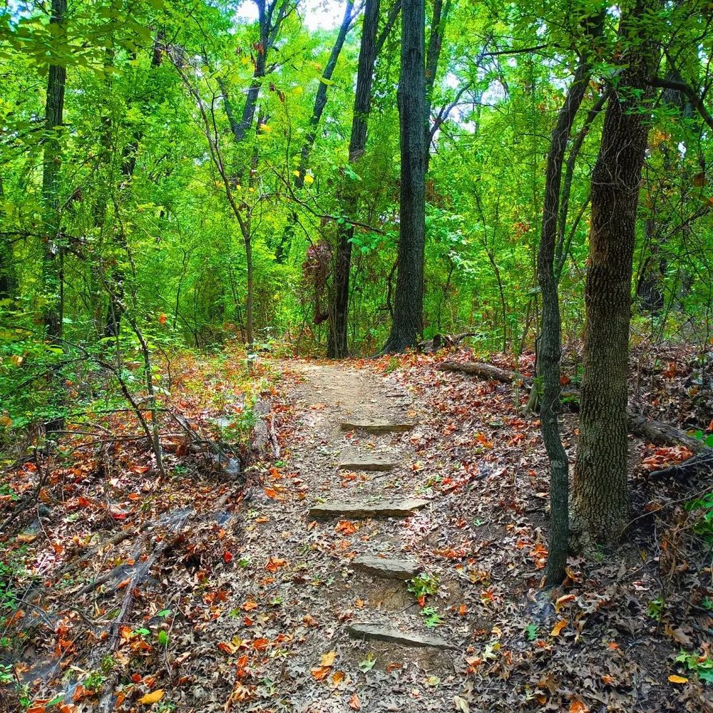 LLELA NATURE PRESEVE - Updated January 2026 - 31 Photos - 201 E Jones ...