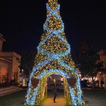 THE MAYBOURNE CAFE - Updated January 2025 - 155 Photos & 41 Reviews ...