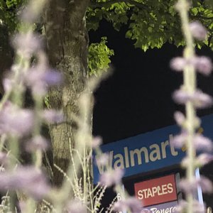 TARGET - Updated May 2025 - 41 Photos & 114 Reviews - 21 Broad St ...