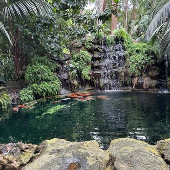 RF ORCHIDS - Updated November 2025 - 652 Photos & 76 Reviews - 28100 SW ...