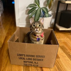 FREEHOLD CARTAGE - Updated September 2025 - 21 Reviews - 825 State ...