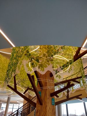 GREECE PUBLIC LIBRARY - Updated October 2025 - 41 Photos & 18 Reviews ...