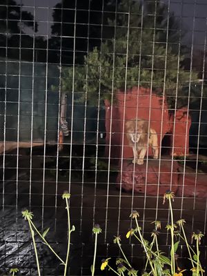 CAPRON PARK ZOO - Updated January 2025 - 171 Photos & 88 Reviews - 201 ...