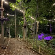 THE ADVENTURE PARK AT THE DISCOVERY MUSEUM - 58 Photos & 66 Reviews ...