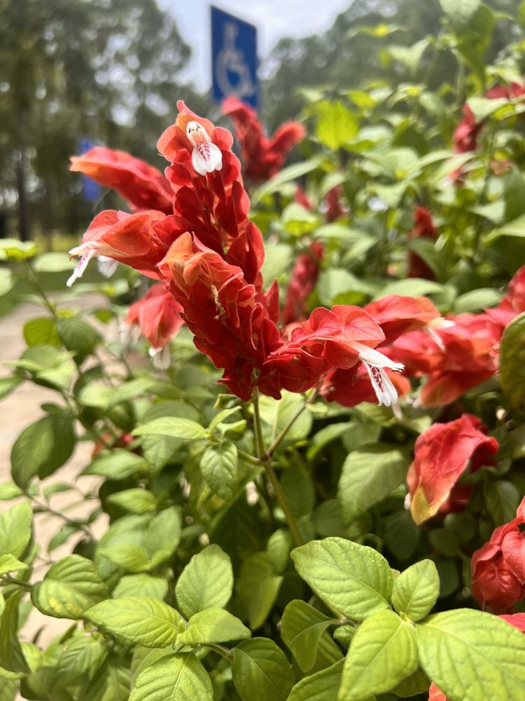 ALABAMA REST AREA - Updated September 2025 - 12 Photos - State Highway ...