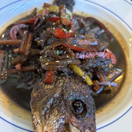 SHANTOO TOGETHERNESS - Updated October 2025 - 113 Photos & 76 Reviews ...