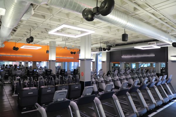 FITNESS SF - MID-MARKET - Updated December 2025 - 97 Photos & 291 ...