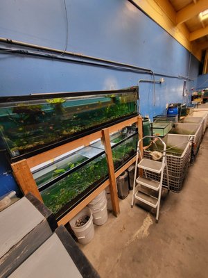 FISH WAREHOUSE - Updated October 2025 - 82 Photos & 24 Reviews - 14845 ...