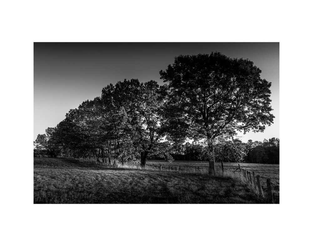 COPY CENTER PLUS - Updated October 2025 - 311 N Diamond St, Mount ...