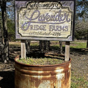LAVENDER RIDGE FARMS - Updated September 2025 - 194 Photos & 53 Reviews ...