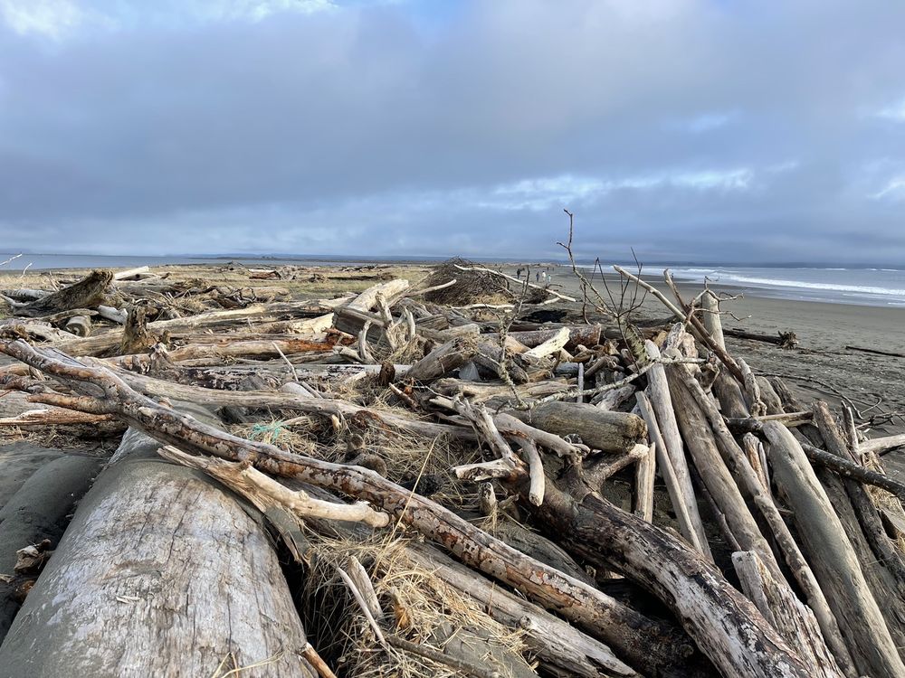 DAMON POINT - Updated January 2026 - 39 Photos & 12 Reviews - Point ...