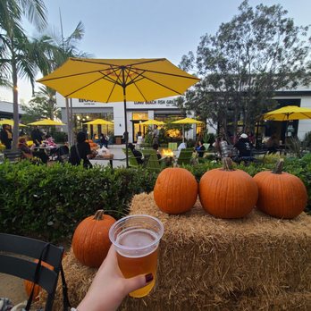 THE ENCLAVE - Updated October 2025 - 472 Photos & 84 Reviews - 970-990 ...