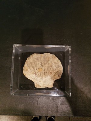 WESTERN SCIENCE CENTER - Open for Business - 219 Photos & 63 Reviews ...