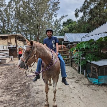 HAPPI FARM - Updated April 2025 - 360 Photos & 141 Reviews - 10251 ...