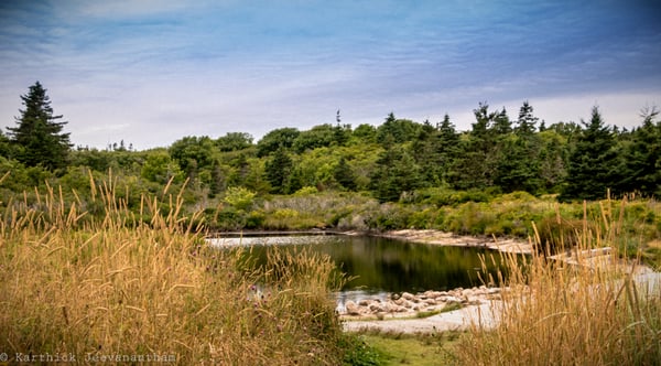 CRYSTAL CRESCENT BEACH - Updated June 2024 - 37 Photos & 20 Reviews ...