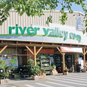 WEBS - AMERICA’S YARN STORE - Updated December 2025 - 30 Photos & 126 ...