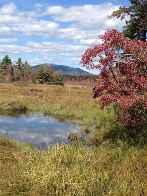 BOSTON PHOTOGRAPHY WORKSHOPS - Updated December 2025 - 21 Photos & 45 ...