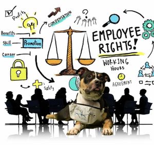 AZARAKHSH ALI ASHKAN ATTY - Updated July 2024 - 4400 Coldwater Canyon Ave, Studio City ...