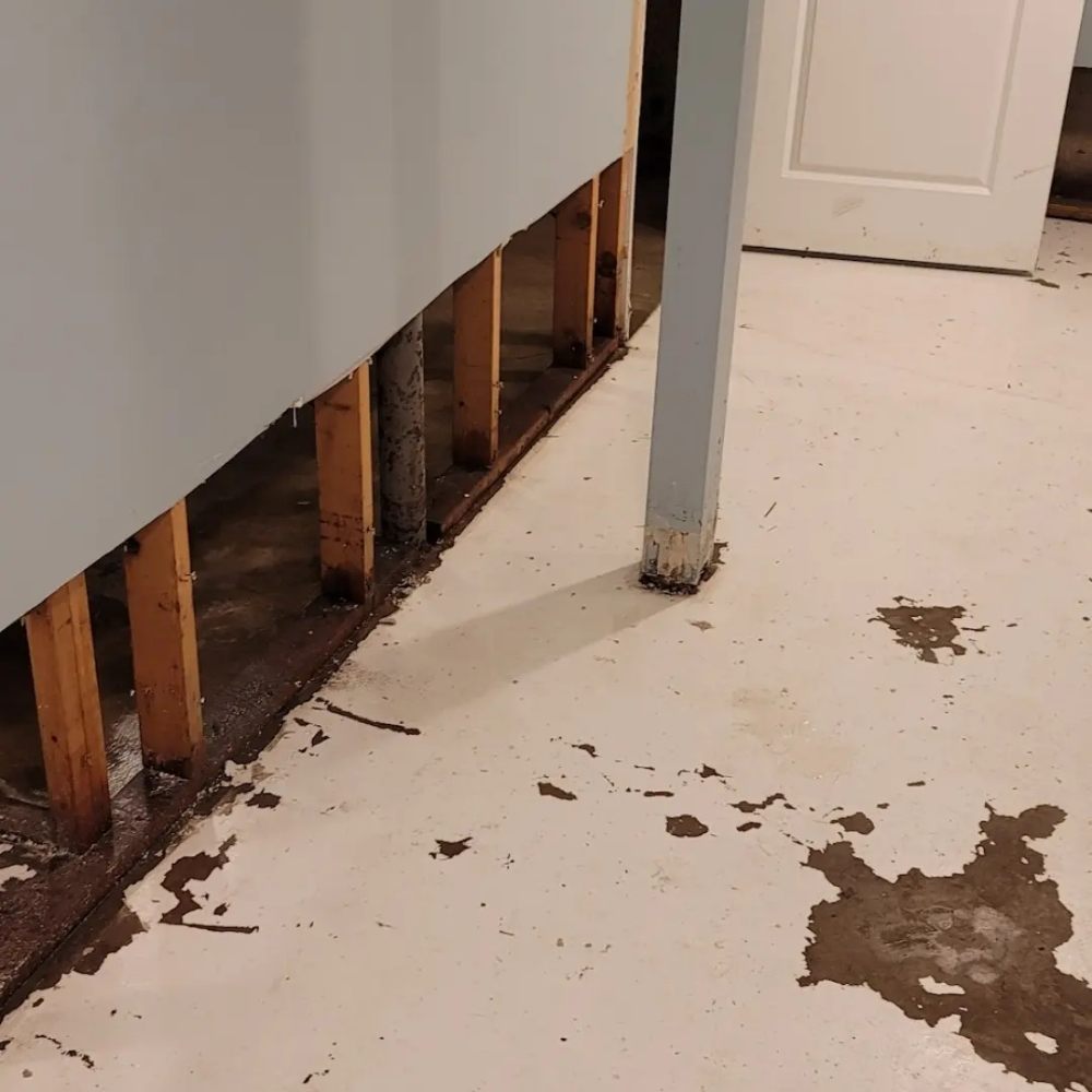 MATRIX CLEANING SOLUTIONS - Updated December 2025 - 29 Photos - Chicago ...