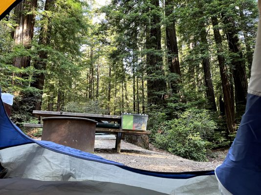 HIDDEN SPRINGS CAMPGROUND - Updated June 2025 - 59 Photos & 36 Reviews ...