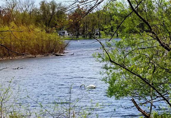 MERIDEN LINEAR TRAILS - Updated March 2025 - 55 Photos - 142 E Main St ...