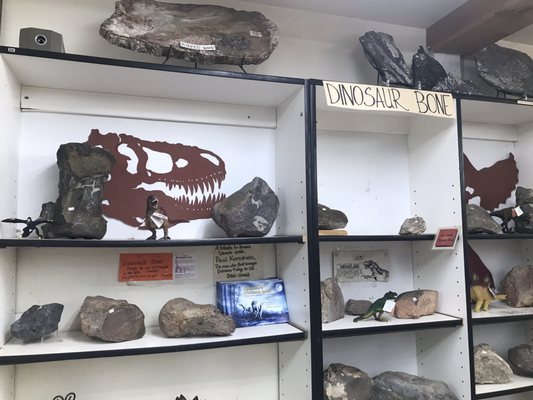 MOAB ROCK SHOP - Updated July 2024 - 194 Photos & 73 Reviews - 600 N ...