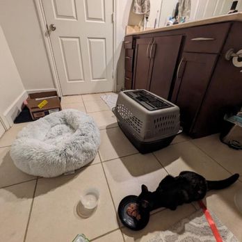 AMAZING SMALL ANIMAL PRACTICE - Updated June 2024 - 44 Photos & 105 ...