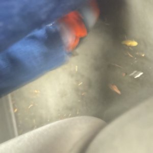 BUTLER CROSSING - Updated November 2025 - 740 Butler Crossing, Butler ...