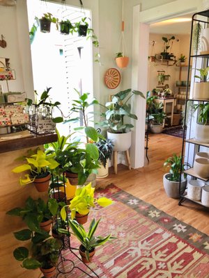 ROOT 31 - Updated September 2025 - 72 Photos & 33 Reviews - 17808 ...