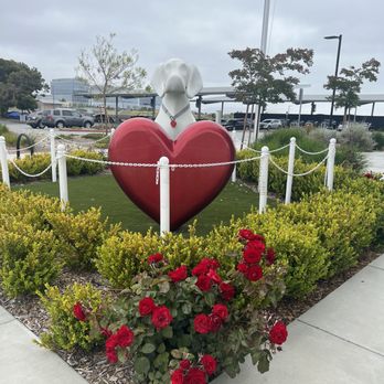 PENINSULA HUMANE SOCIETY & SPCA - Updated July 2025 - 83 Photos & 117 ...