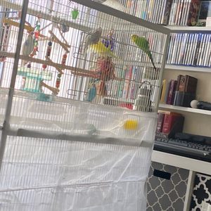 MAGNOLIA BIRD FARM - 116 Photos & 152 Reviews - 12200 Magnolia Ave ...