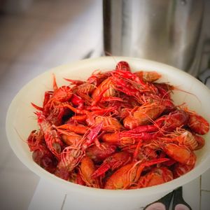 JJ FISH MARKET - Updated October 2025 - 85 Photos & 163 Reviews - 5251 ...