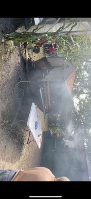 DAN’S CHICKEN SHACK - 1 Kranz Rd, Mexico, New York - Chicken Shop ...