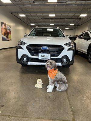 SCHOMP SUBARU - Updated December 2025 - 110 Photos & 496 Reviews - 580 ...