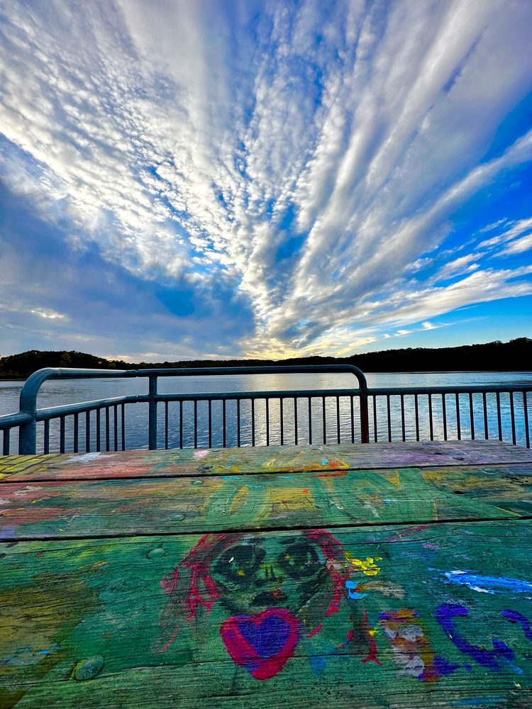 MAPLE LAKE - Updated January 2026 - 46 Photos - 9500 Willows Spring Rd ...