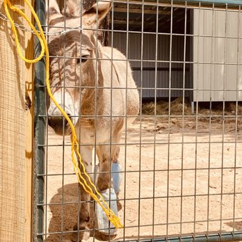 ATKINSON FARM - Updated June 2025 - 163 Photos & 68 Reviews - 3217 ...