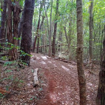 WAIHOU SPRING TRAIL - Updated December 2025 - 70 Photos & 22 Reviews ...